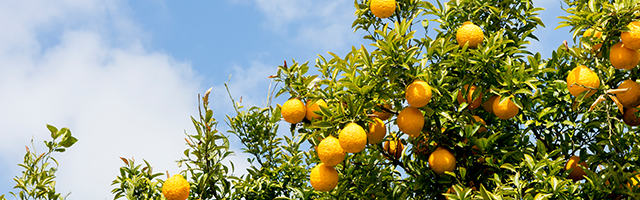 채용공고 - 대구지방환경청 측정분석과 기간제 근로자 채용 공고